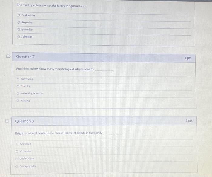 Solved The most speciose non-snake family in Squamsta is: | Chegg.com