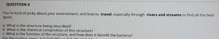 Solved QUESTION 4 You're kind of picky about your | Chegg.com