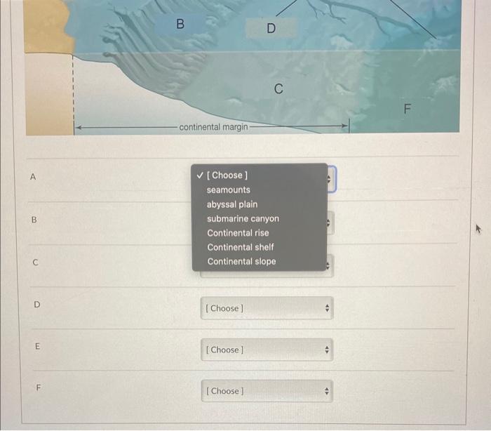 Solved Provided below is a diagram of a passive continental | Chegg.com
