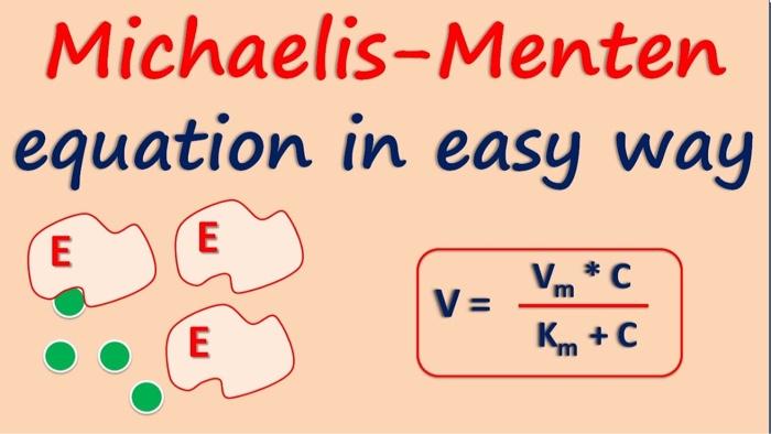 Solved Michaelis-Menten equation in easy way E E Vm * * C V | Chegg.com