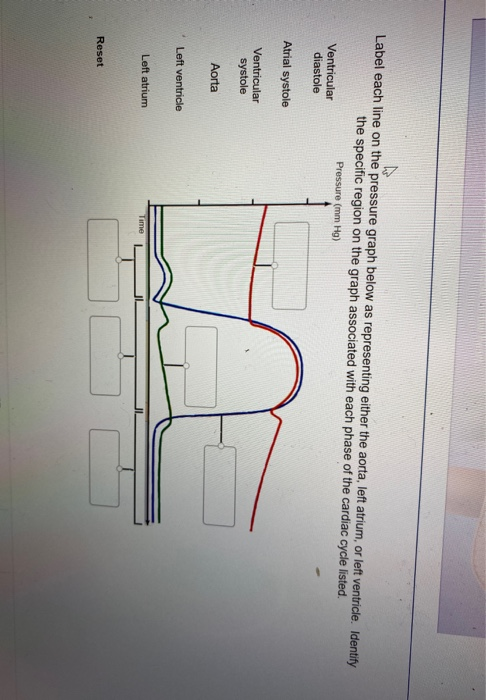 Solved Label each line on the pressure graph below as | Chegg.com
