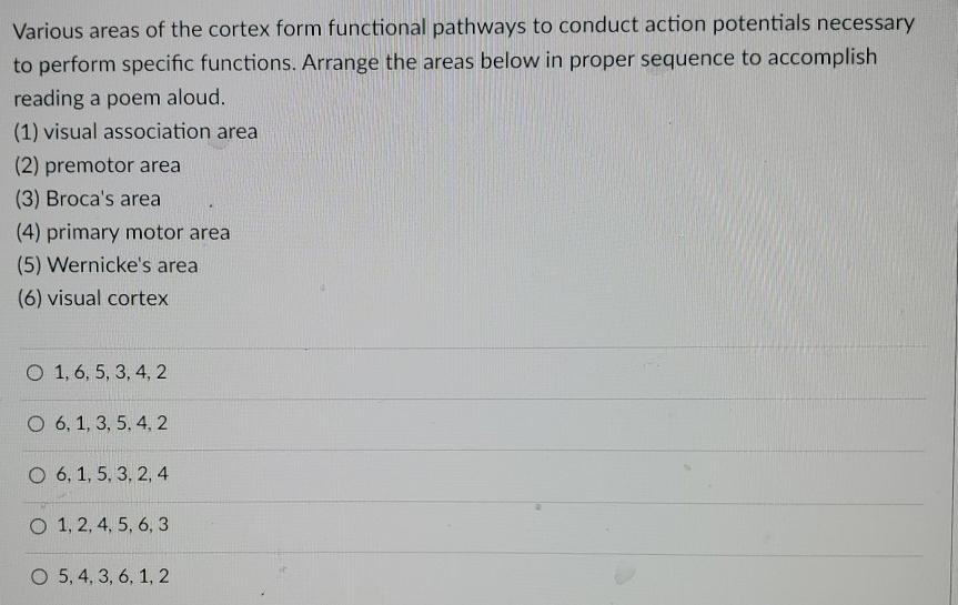 Solved Various areas of the cortex form functional pathways | Chegg.com