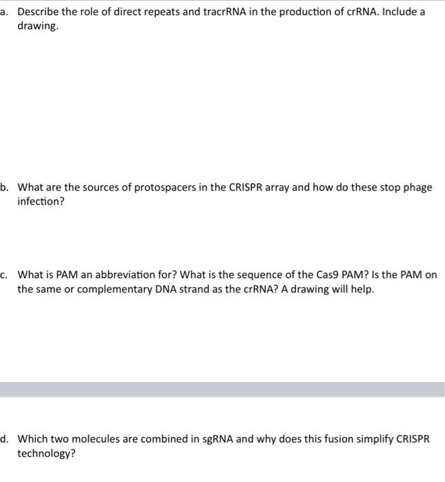 Solved Describe the role of direct repeats and tracrRNA in | Chegg.com