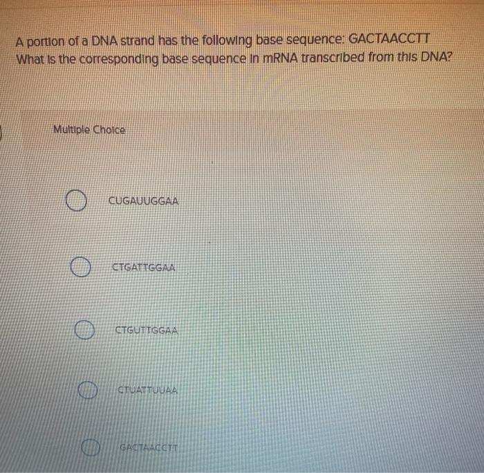 Solved A portion of a DNA strand has the following base | Chegg.com