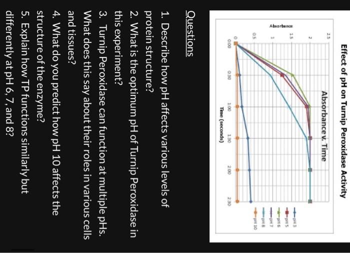Solved Effect of pH on Turnip Peroxidase Activity Questions | Chegg.com