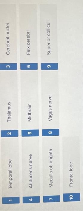 match each numbered item with the most closely | Chegg.com match each numbered item with the most closely | Chegg.com