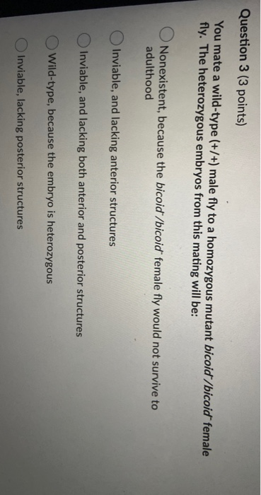 Solved Question 3 (3 points) You mate a wild-type (+/+) male | Chegg.com