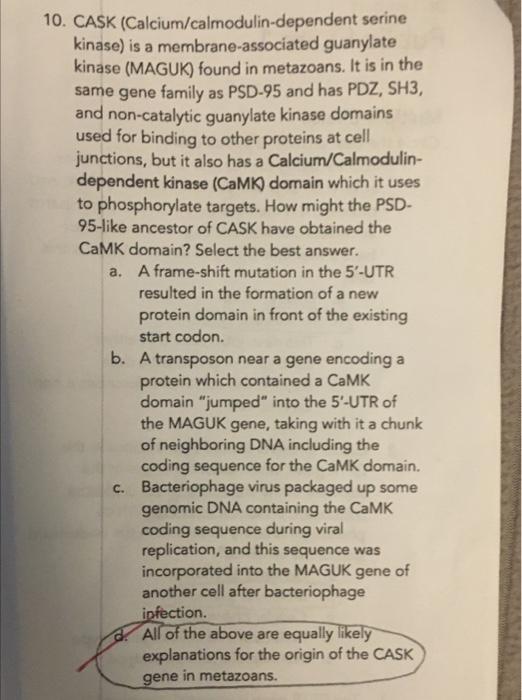 Solved a 10. CASK (Calcium/calmodulin-dependent serine | Chegg.com