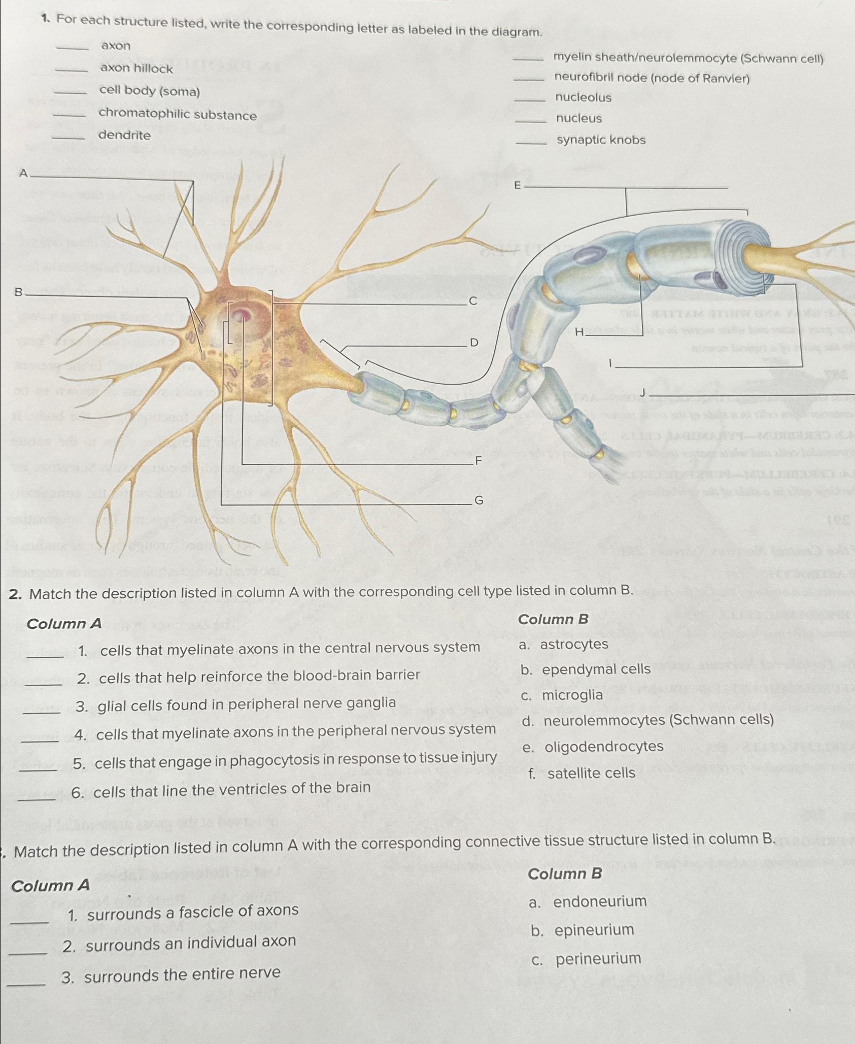 Solved For each structure listed, write the corresponding | Chegg.com