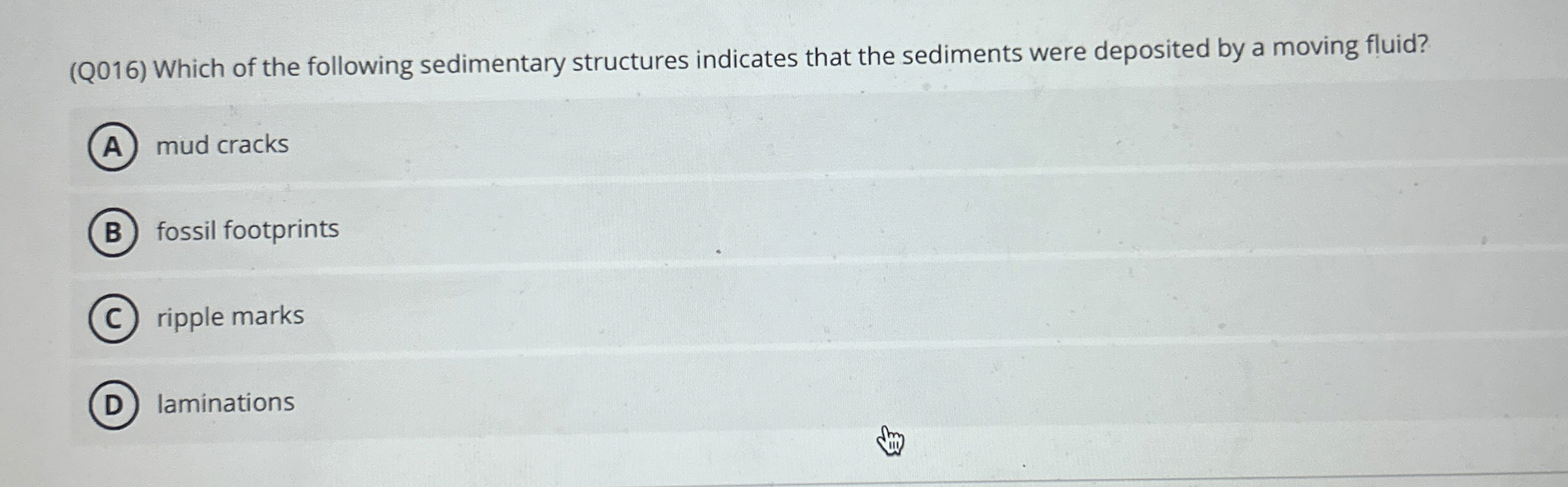 Solved (Q016) ﻿Which of the following sedimentary structures | Chegg.com