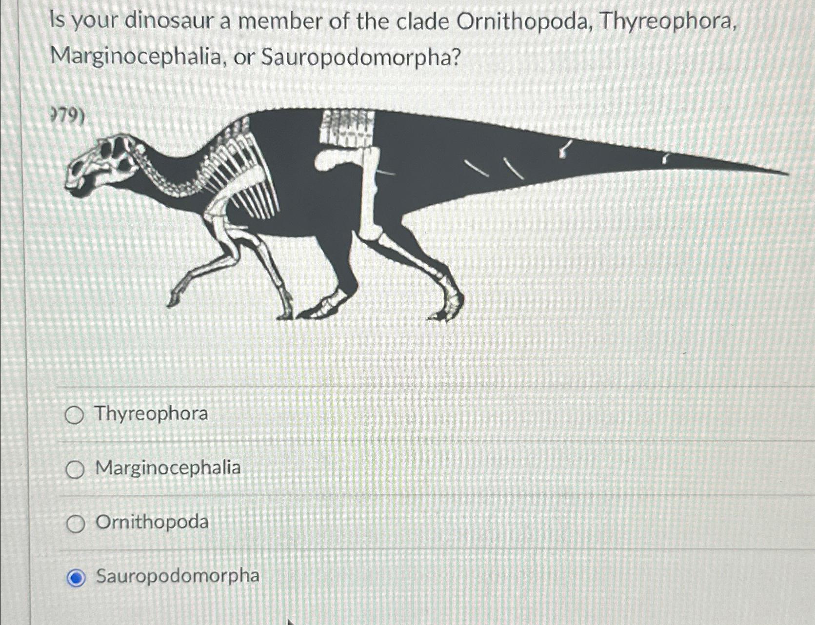 Solved Is your dinosaur a member of the clade Ornithopoda, | Chegg.com