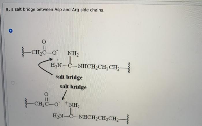 Solved a. a salt bridge between Asp and Arg side chains. O | Chegg.com