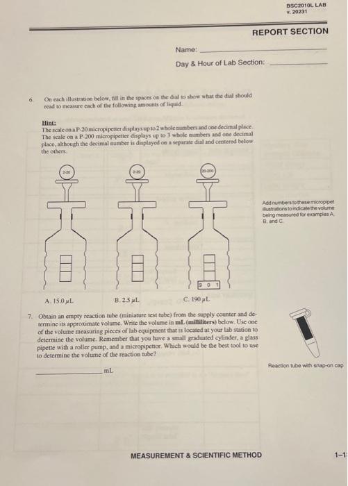 Solved BSC2010L Measurement & Scientific MethodObtain an | Chegg.com