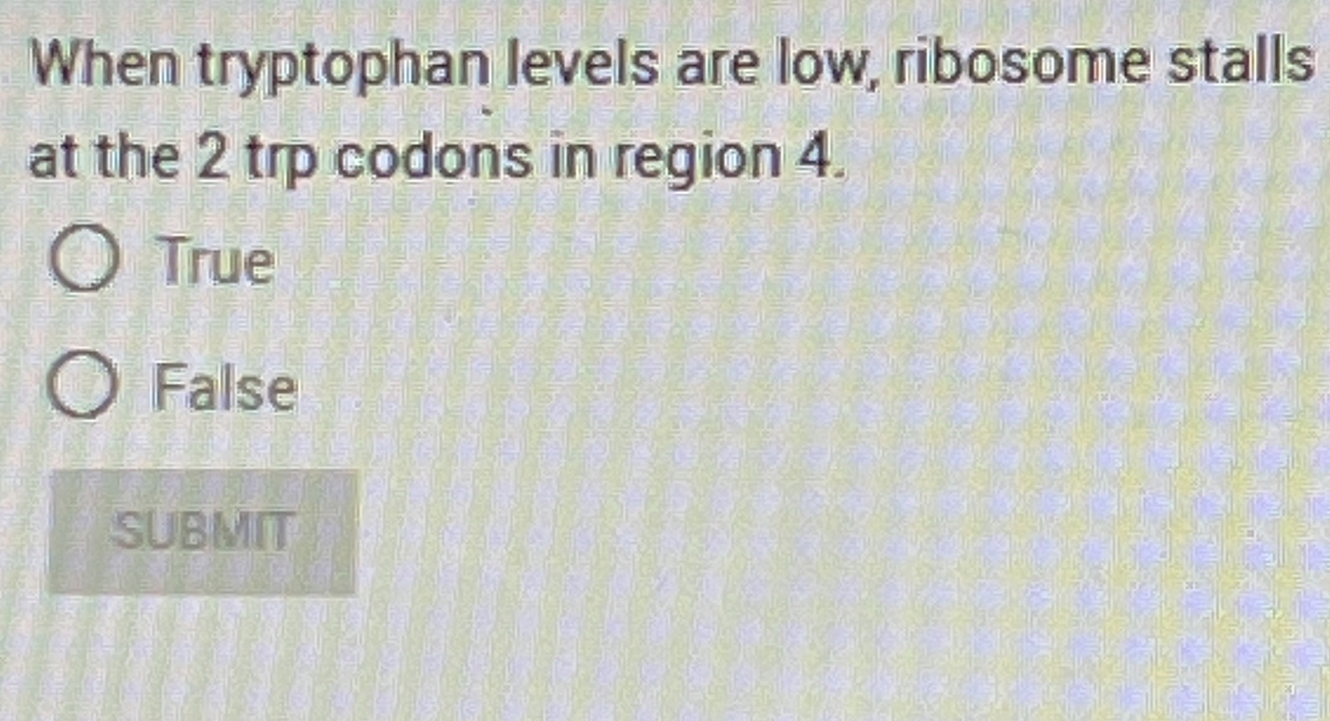 Solved When tryptophan levels are low, ribosome stalls at | Chegg.com