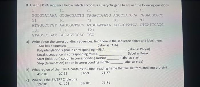 Solved II. Use the DNA sequence below, which encodes a | Chegg.com