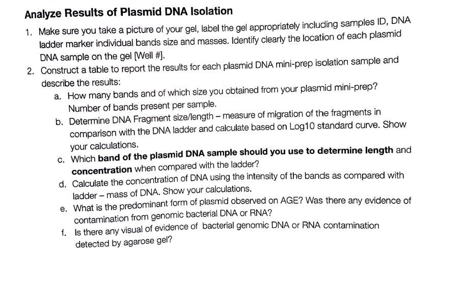 Solved Analyze Results of Plasmid DNA Isolation 1. Make sure | Chegg.com