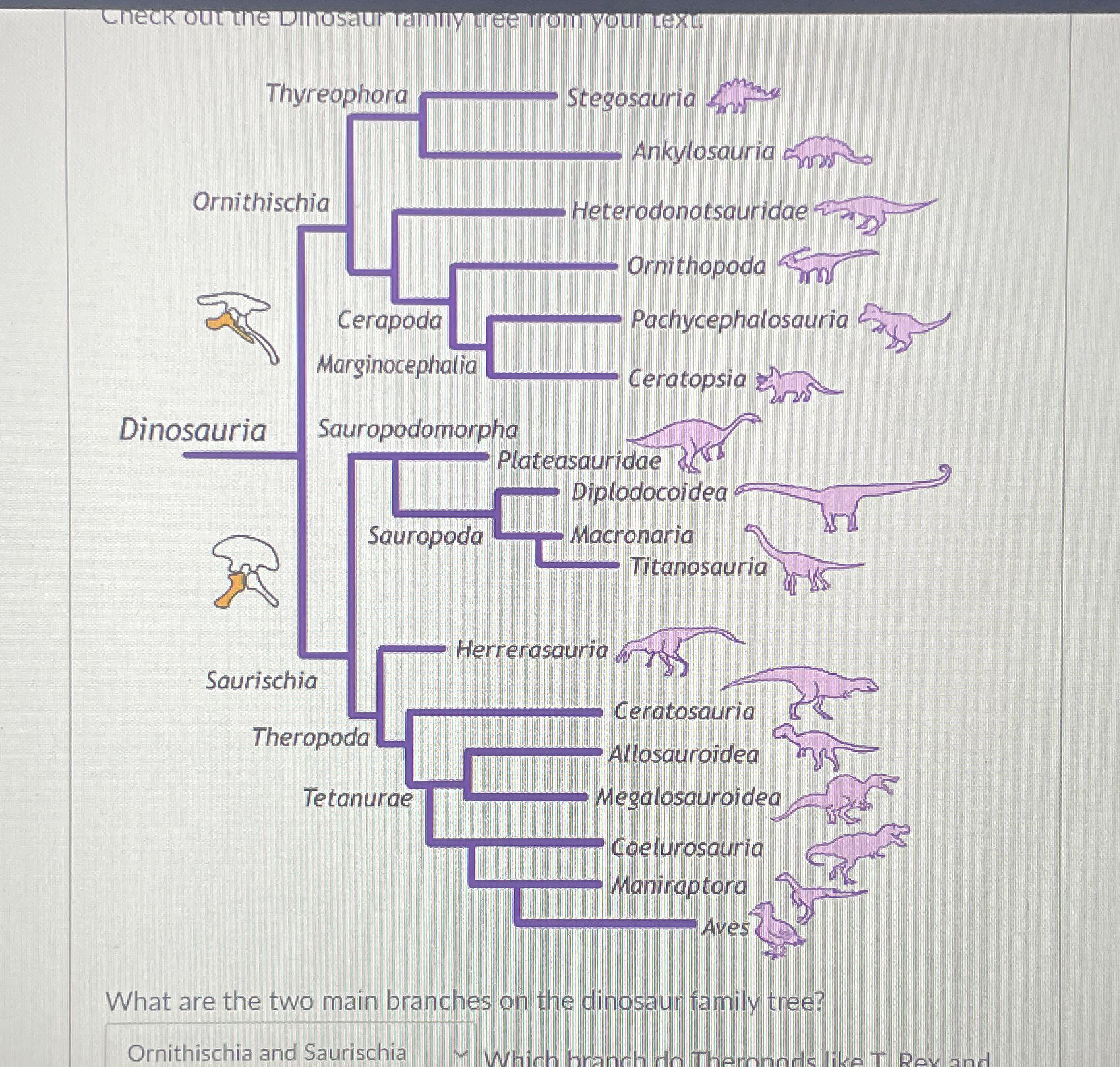 Solved Check ounthe Dinostauntaminy tree rrom yournext:What | Chegg.com