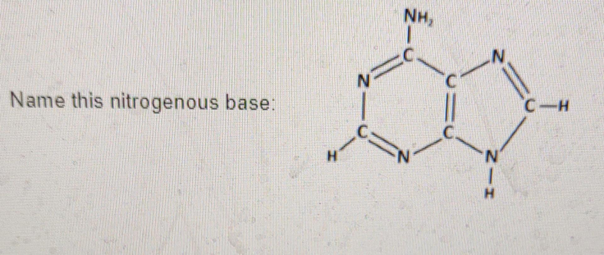 Solved Name this nitrogenous base: | Chegg.com