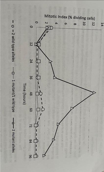 Solved 11. Gene duplication is a type of genetic mutation in | Chegg.com