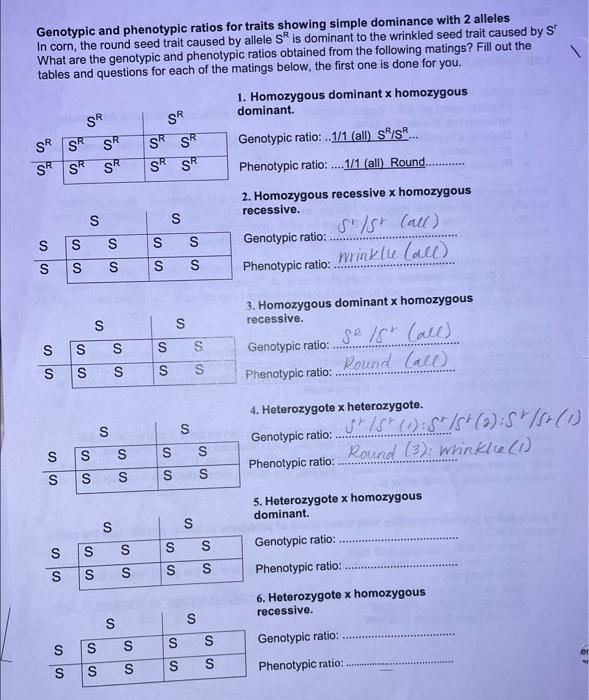 Solved Genotypic and phenotypic ratios for traits showing | Chegg.com