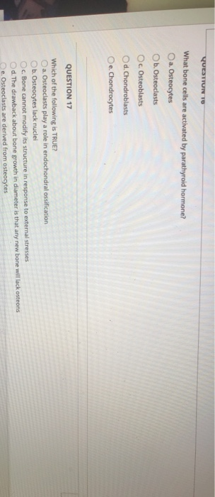 Solved Question Completion Status QUESTION 1z 0.5 points The | Chegg.com