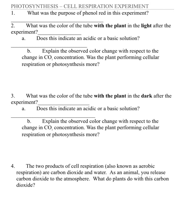 Solved PHOTOSYNTHESIS - CELL RESPIRATION EXPERIMENT 1. What | Chegg.com