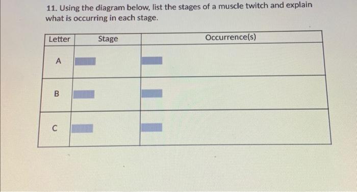 Solved 11. Using the diagram below, list the stages of a | Chegg.com