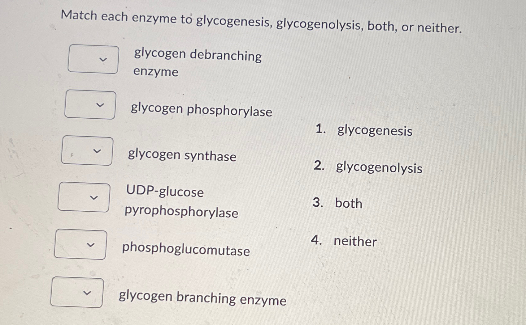 Solved Match each enzyme to glycogenesis, glycogenolysis, | Chegg.com