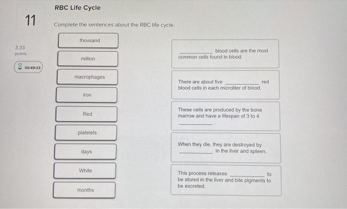 Solved RBC Life Cycle 11 Complete the sentences about the | Chegg.com