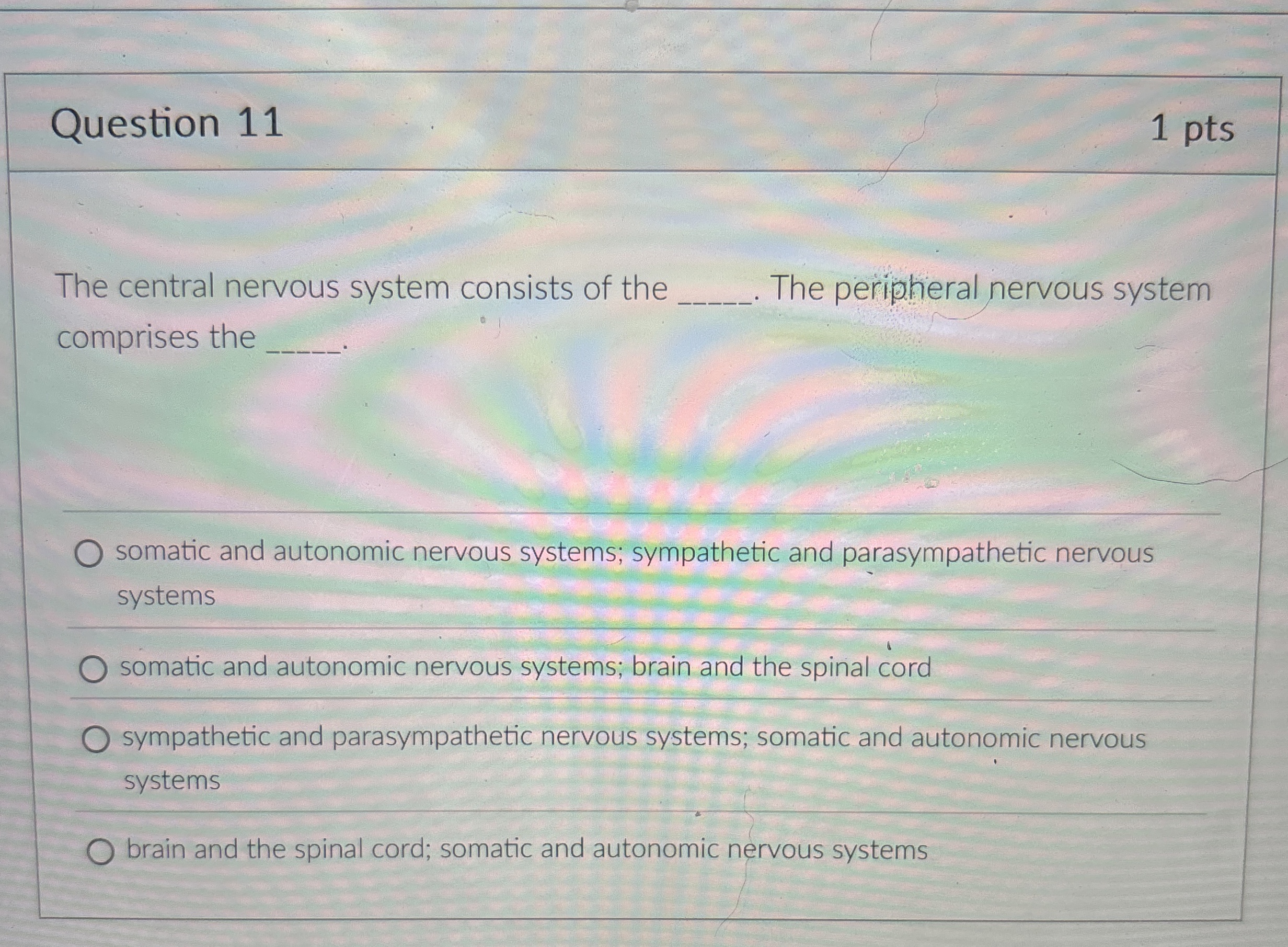 Solved Question 11The central nervous system consists of | Chegg.com