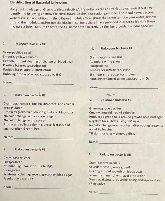 Solved Identification of Bacterial Unknowns Use your | Chegg.com