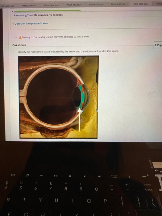 Solved mcphs.blackboard.com asilic vel https://learn- | Chegg.com