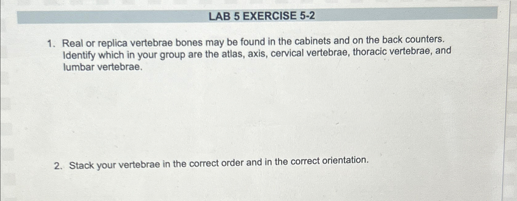 Solved LAB 5 ﻿EXERCISE 5-2Real or replica vertebrae bones | Chegg.com
