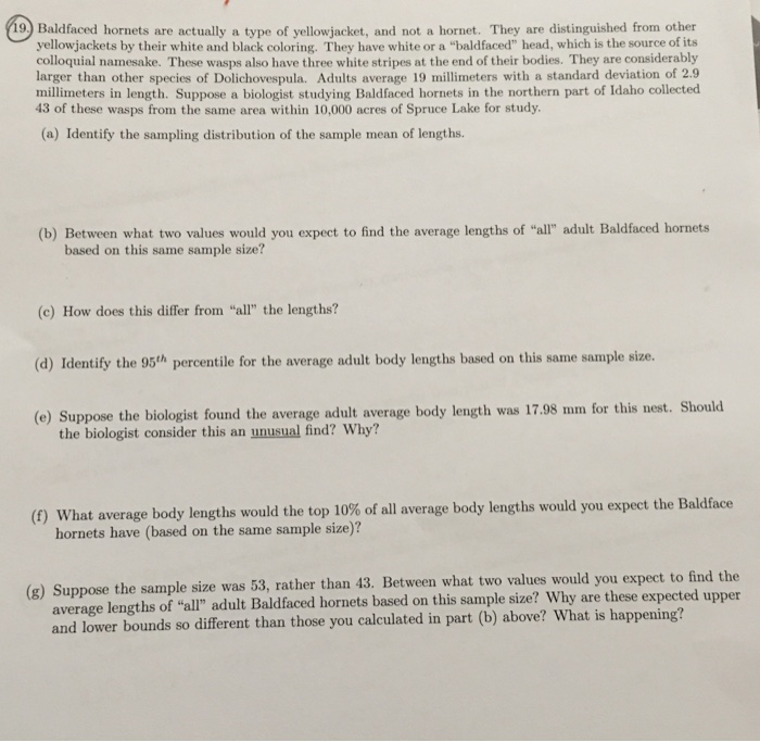 Solved 19) Baldfaced hornets are actually a type of | Chegg.com