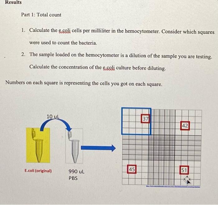 Solved Results Part 1: Total count 1. Calculate the e.celi | Chegg.com