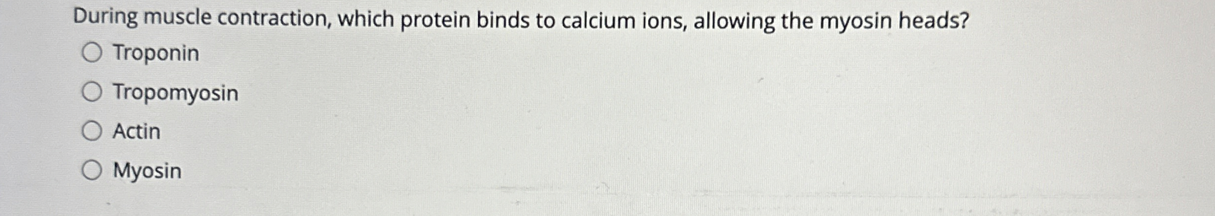 Solved During muscle contraction, which protein binds to | Chegg.com