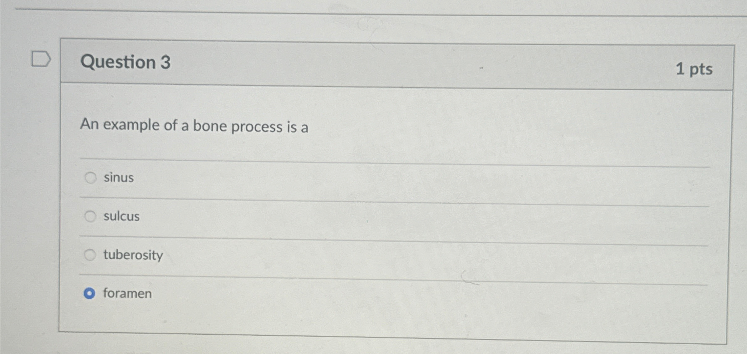 Solved Question 31ptsAn example of a bone process is | Chegg.com
