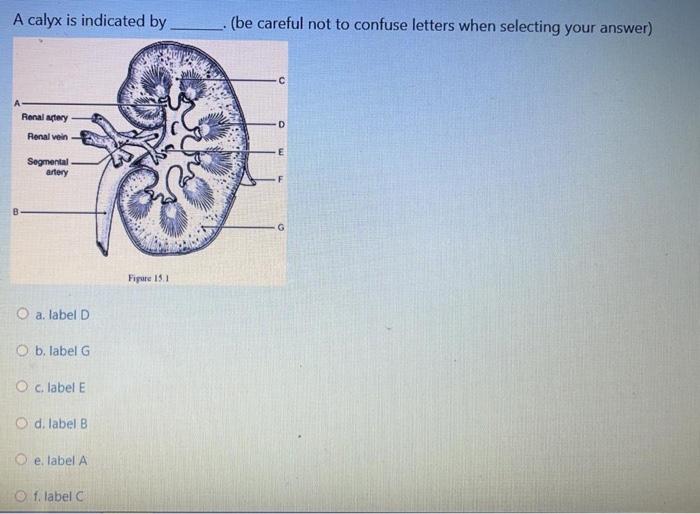 Solved A calyx is indicated by -.(be careful not to confuse | Chegg.com