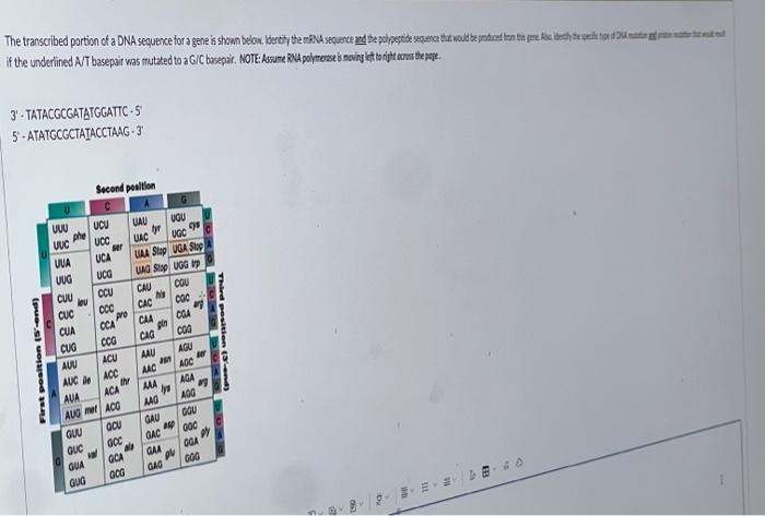Solved The transcribed portion of a DNA sequence for a gene | Chegg.com