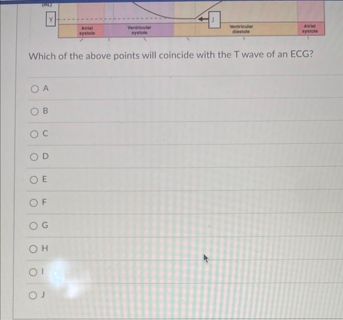 Solved Which of the above points will coincide with the T | Chegg.com