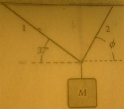 Solved An object of unknown weight is suspended as shown. | Chegg.com