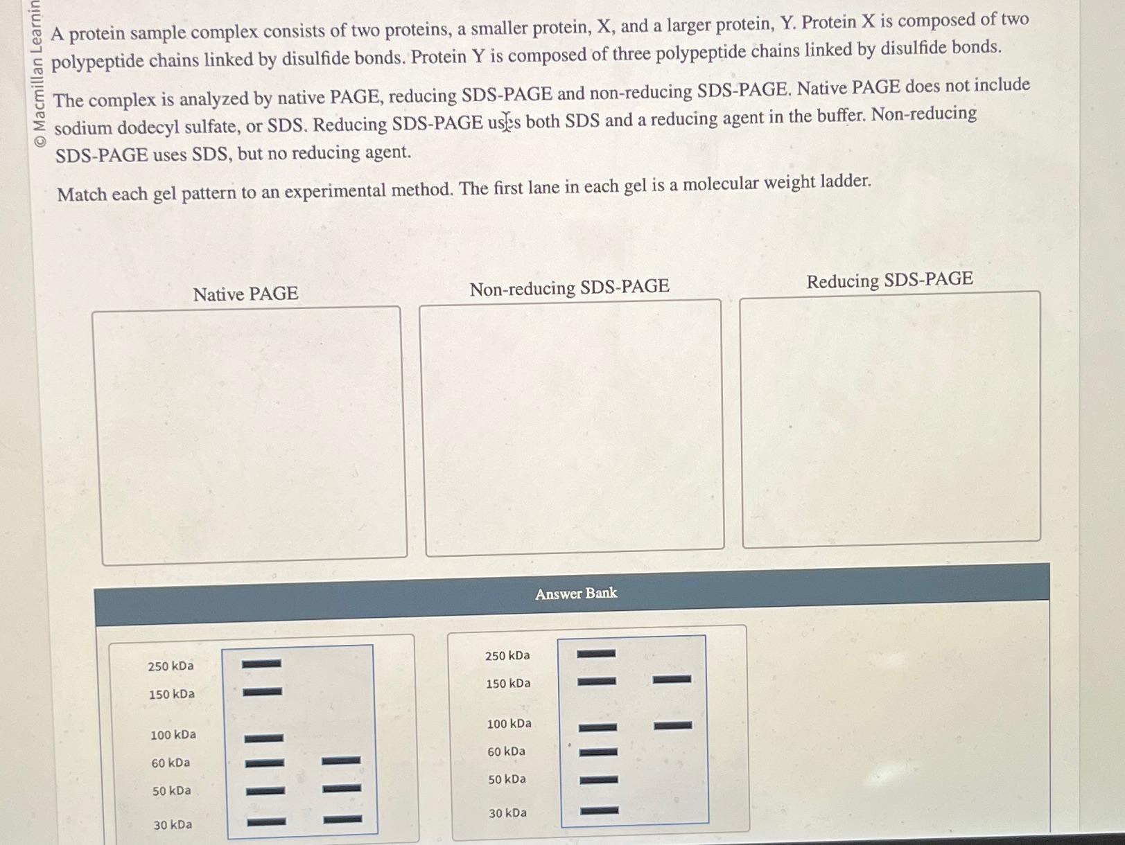 Solved A protein sample complex consists of two proteins, a | Chegg.com