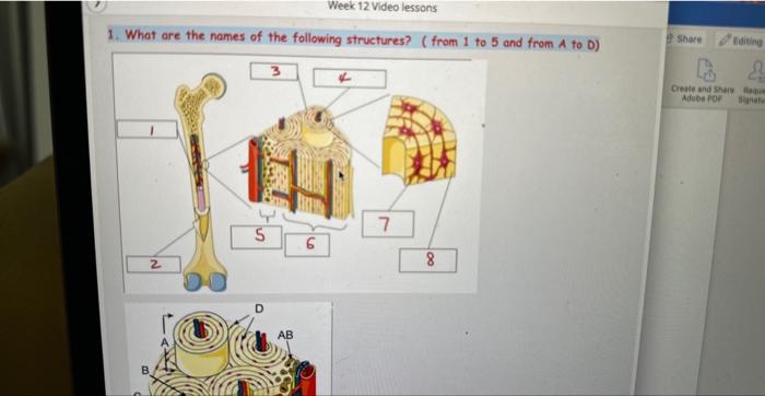 Solved 1. What are the names of the following structures? | Chegg.com