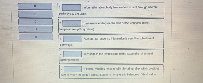 Solved 22 D Control Center Receptor Effector B E IMBALANCE А | Chegg.com