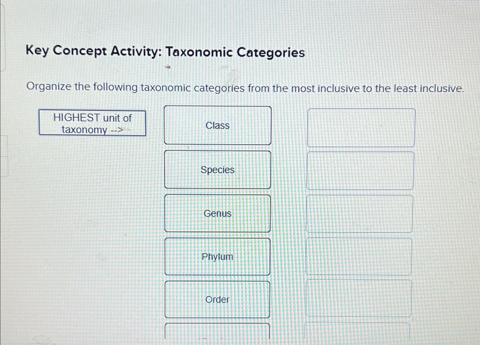 Solved Key Concept Activity: Taxonomic CategoriesOrganize | Chegg.com