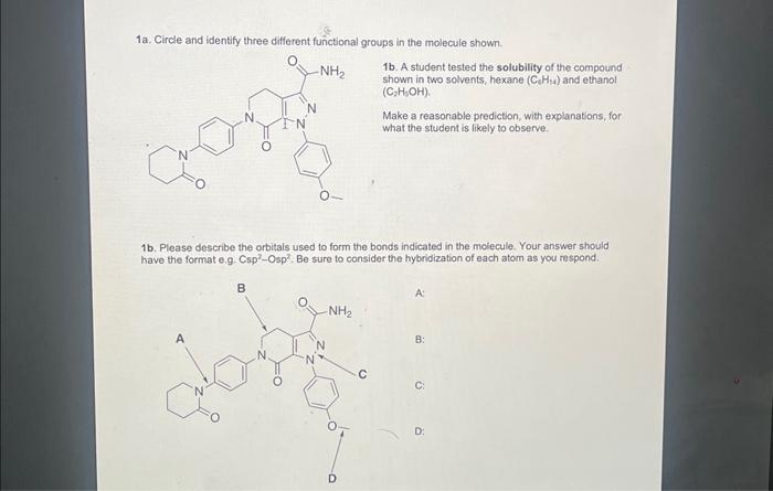 Solved 1a. Circle and identify three different functional | Chegg.com