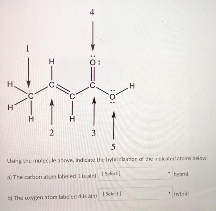 Solved 4 1 O IO H C H :0: H OI H 2 3 5 Using the molecule | Chegg.com