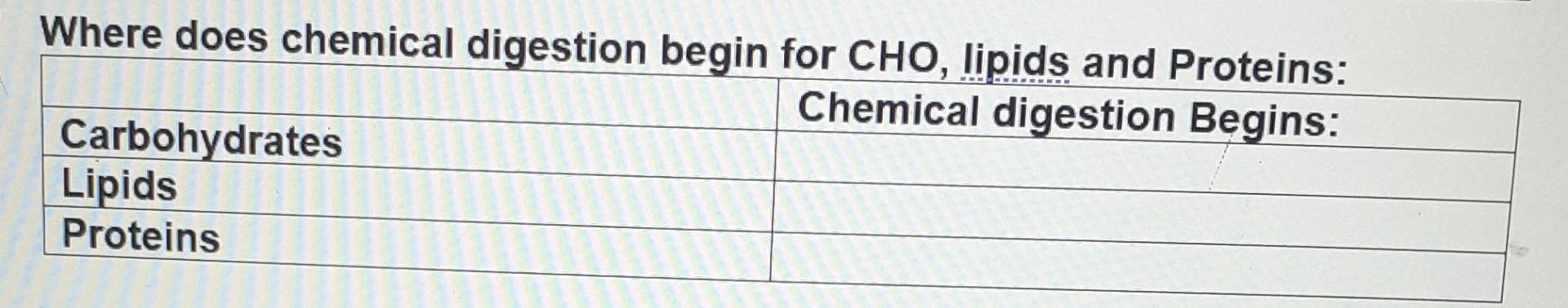 Solved Where does chemical digestion begin for CHO, lipids | Chegg.com