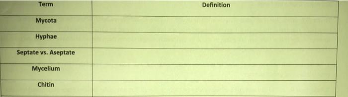 Solved Term Definition Mycota Hyphae Septate vs. Aseptate | Chegg.com