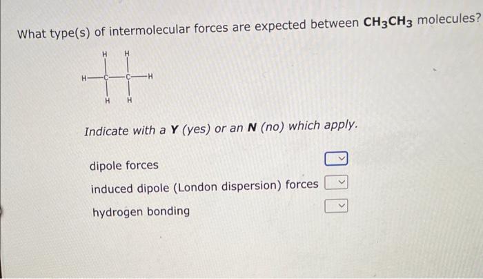Solved What Type S Of Intermolecular Forces Are Expected
